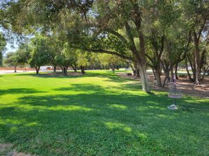 Vail Lake Resort Campground Map and RV Rentals - Delivered RV Rentals